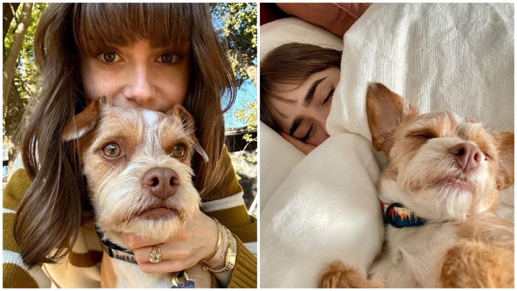 O poveste de Hollywood. „Emily in Paris” și Redford, cățelul ei adoptat