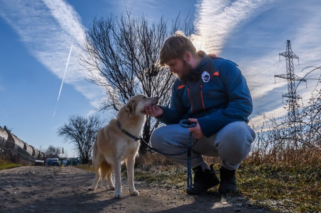 Câine adoptat: Cum începi dresajul cu el și la ce trebuie să fii atent. Sfaturi de la dresor