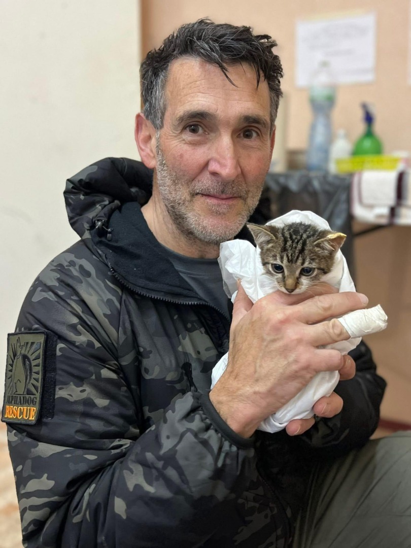 Pisicile din Cernobîl: cum au supraviețuit radiațiilor și dezastrului ...